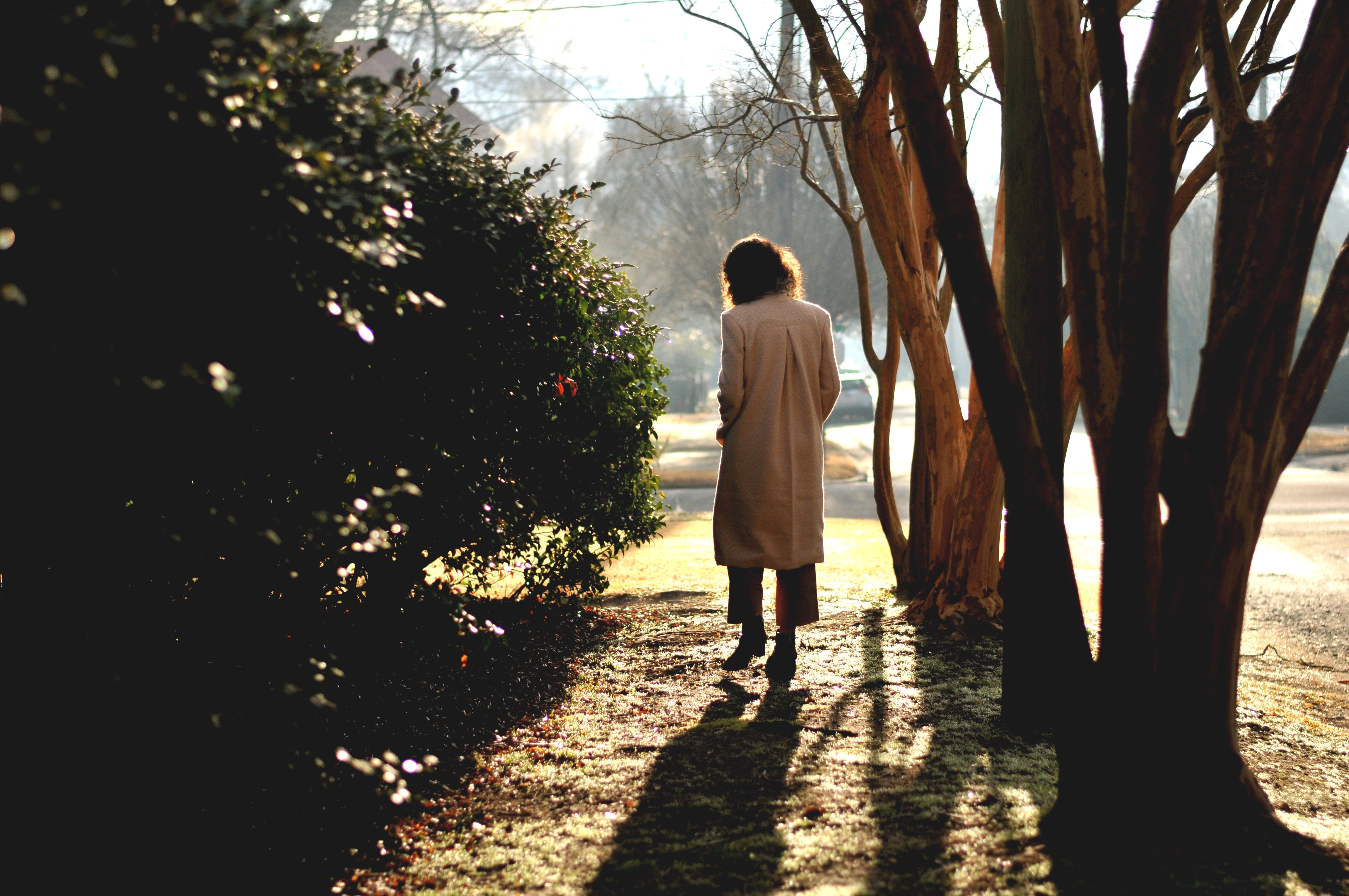 Woodhill – Anna Gray Collection